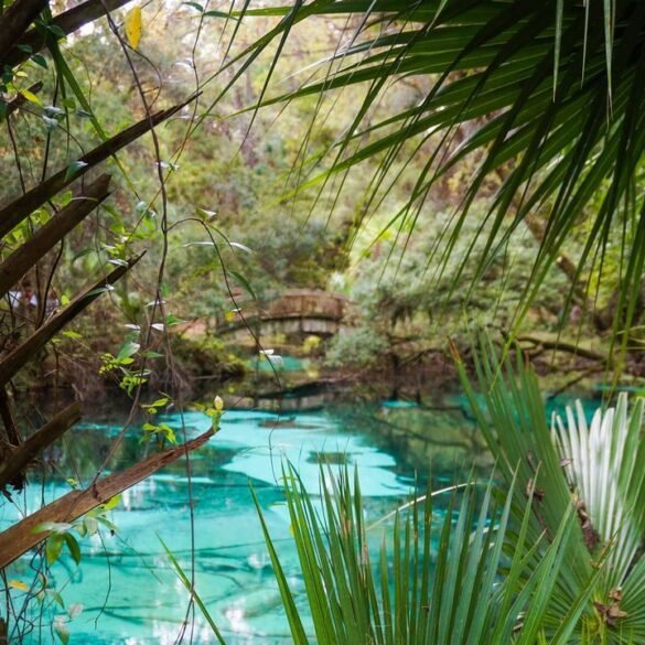 Unveiling the Rich Harbin Hot Springs History: A Clothing-Optional ...